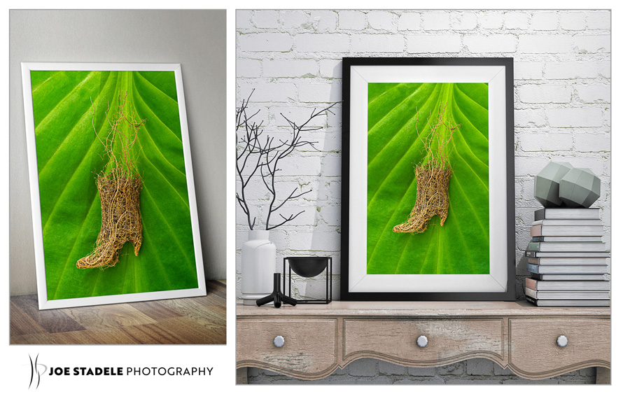 Reclaimed by Nature, Discovered by Chance